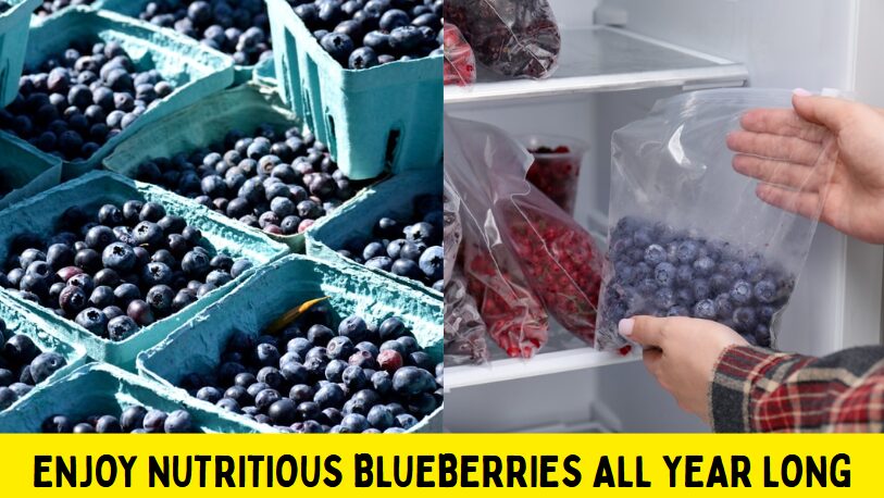 Tiny But Mighty: Why Blueberries Are June's Superfood - Eat REAL America